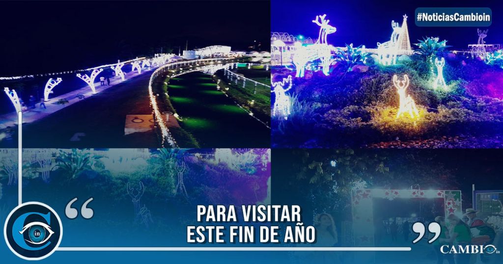 La nueva atracción del parque Caiké en Ibagué | CambioIn