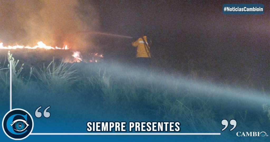 Gobernación Del Tolima Continúa Trabajando De Manera Articulada Para